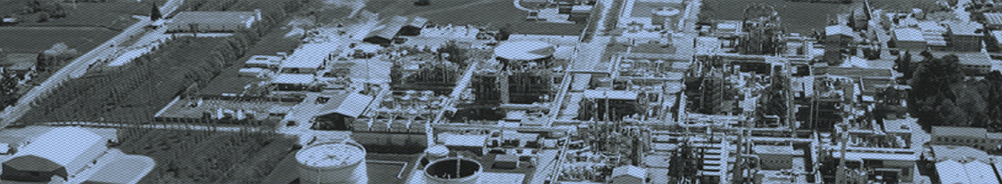 History | Polynt Group