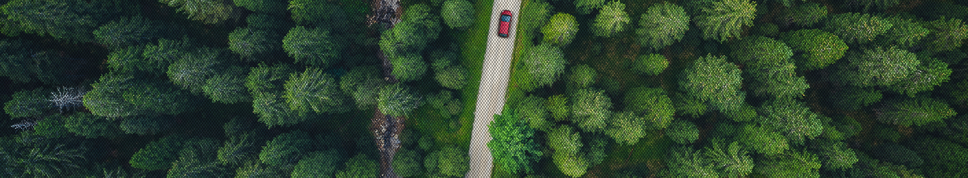 Executive summary | Polynt Group